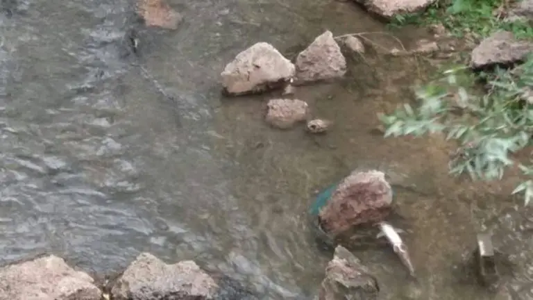 Rio Esgueva: mapa, pesca, y todo lo que necesita conocer de él