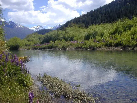Río Azul: ubicación, mapa, especies protegidas y mucho más