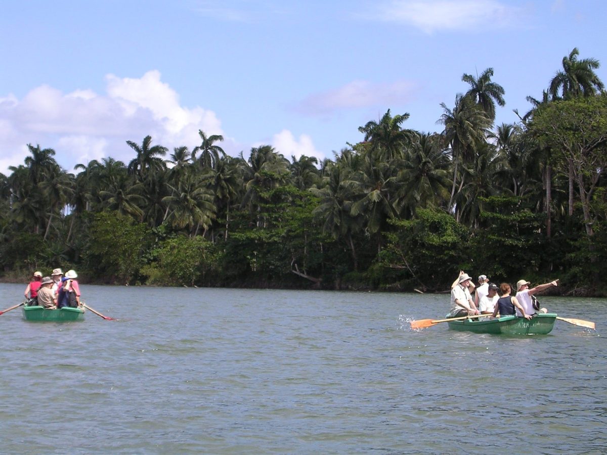 Río Cauto: todo la informacion que necesita conocer sobre él