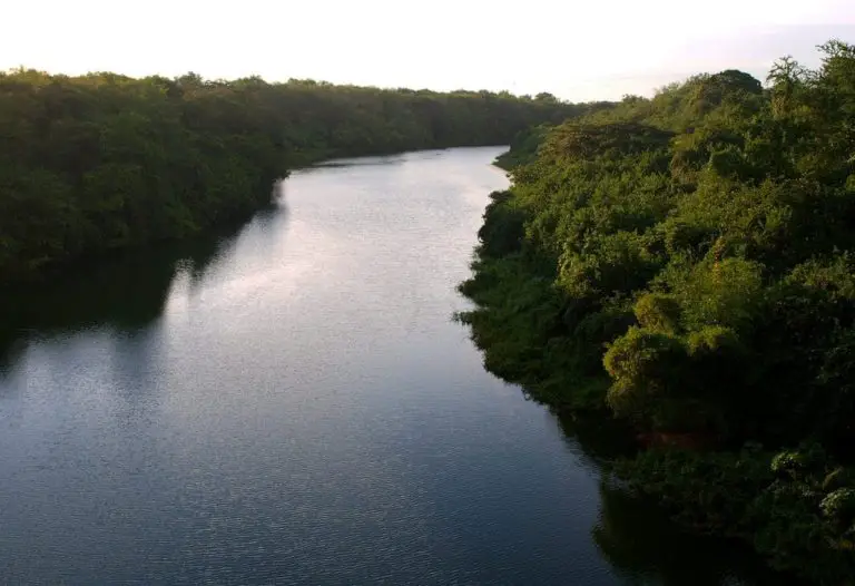 Río Cauto: todo la informacion que necesita conocer sobre él
