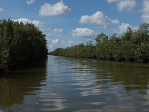 Río Cauto: todo la informacion que necesita conocer sobre él