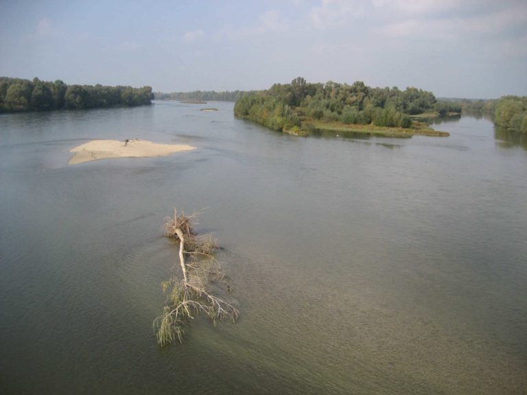 Río Drava: conozca todo lo que necesita conocer sobre él y mas