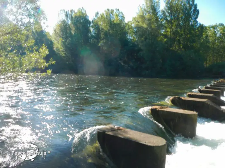 River Esla: map, and everything you need to know about it