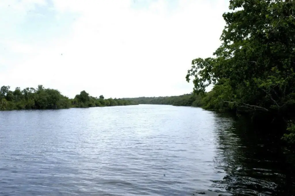 Every River on Earth