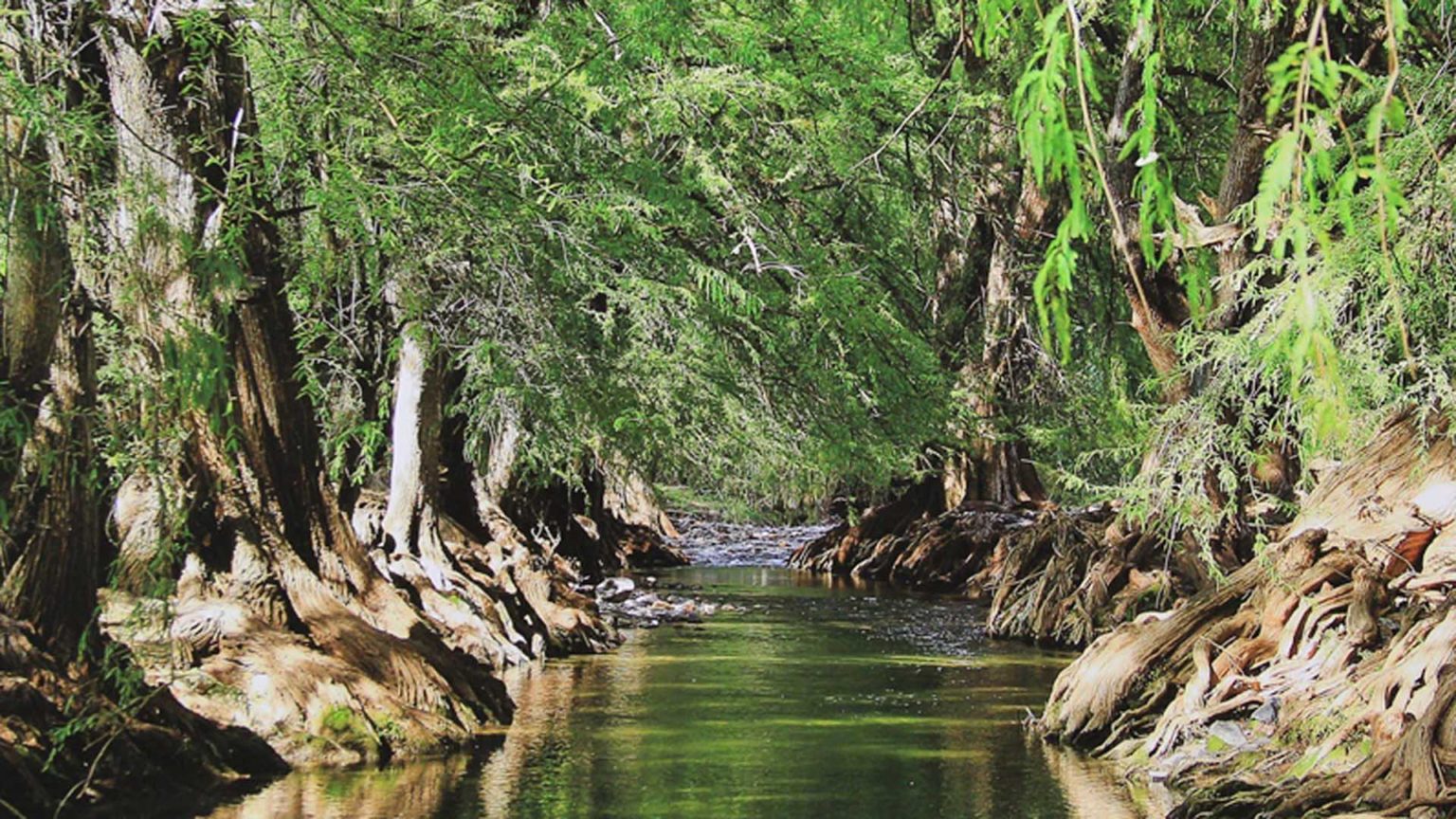 Rio Mixteco: todo lo que necesita conocer sobre él