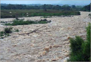 Río Naranjo: todo lo que necesita conocer sobre él