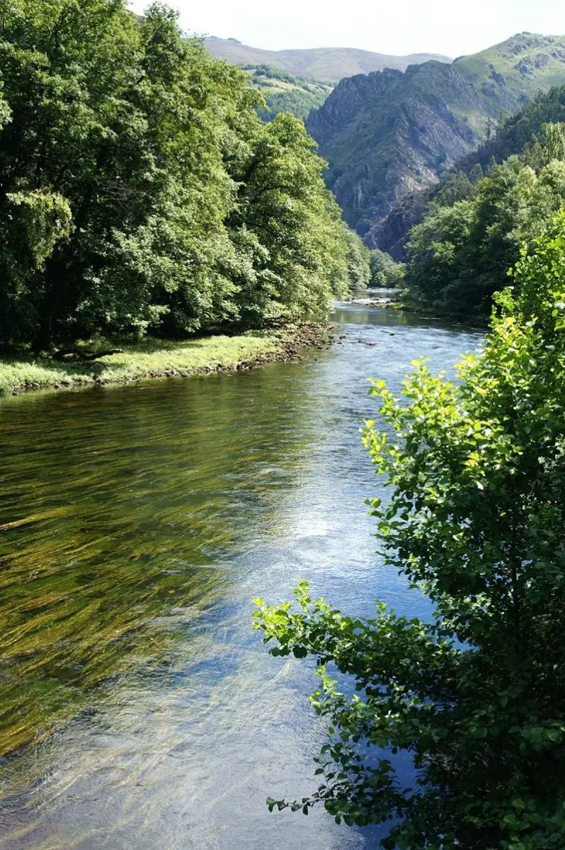 Río Narcea: mapa, y todo lo que necesita conocer sobre él