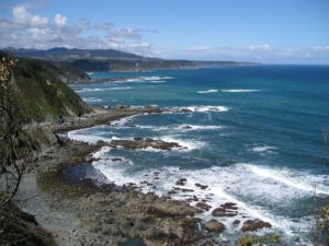 Río Narcea: mapa, y todo lo que necesita conocer sobre él