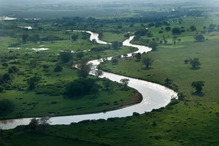 Río Nechí: mapa y todo lo que necesita conocer sobre él