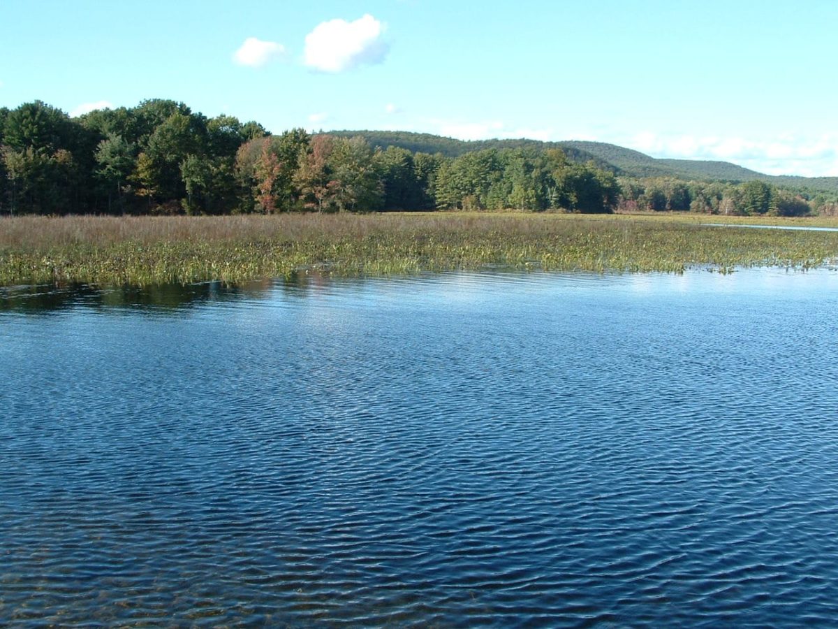 Pechora River: map, and everything you need to know about it
