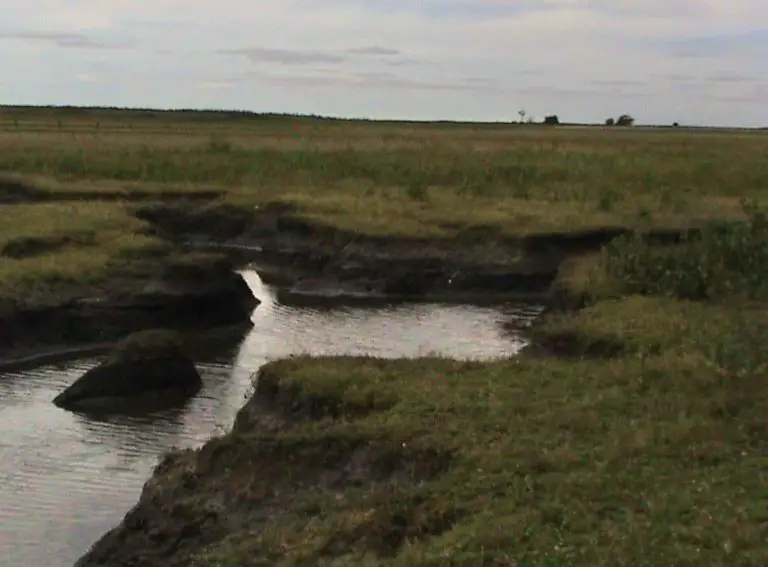 RÍO SAMBOROMBÓN: Mapa, Pesca, y todo lo que desconoce.