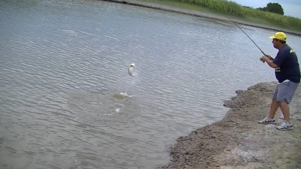RÍO SAMBOROMBÓN: Mapa, Pesca, y todo lo que desconoce.