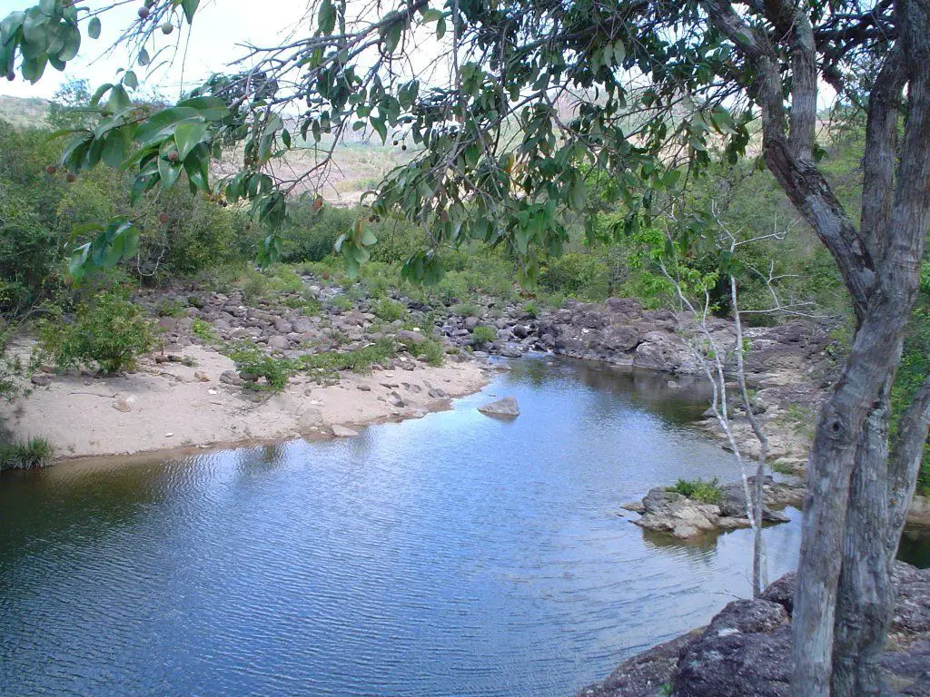 Río Sapo: Ubicación y todo lo que necesita conocer sobre él