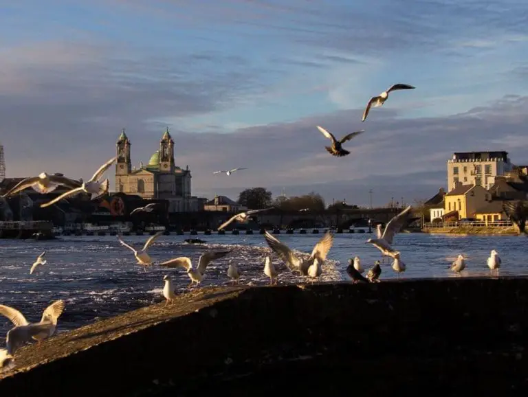 Río Shannon: mapa, y todo lo que necesita conocer sobre él