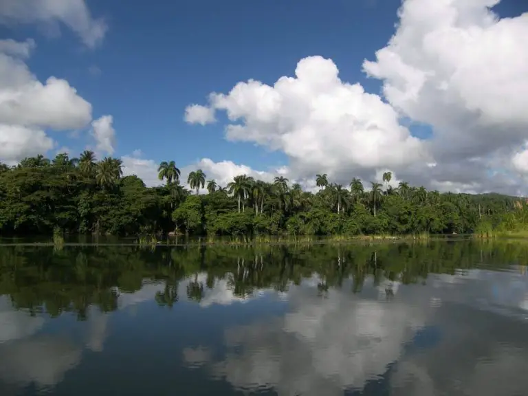 Río Toa: conozca todo lo que necesita saber sobre él