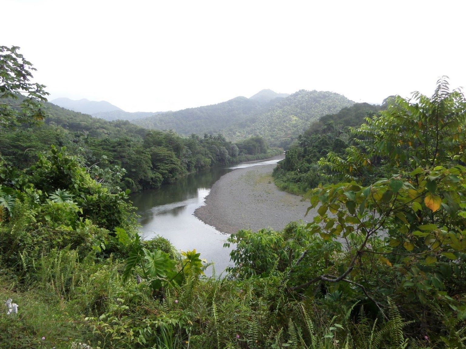Río Toa: conozca todo lo que necesita saber sobre él