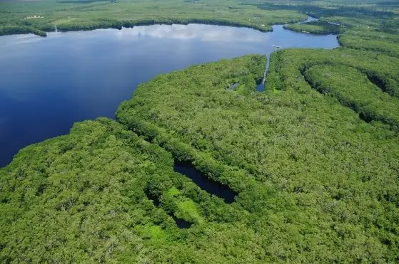 Río Tonalá: Ubicación, mapa y todo lo que necesita conocer