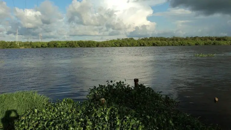 Río Tonalá: Ubicación, mapa y todo lo que necesita conocer