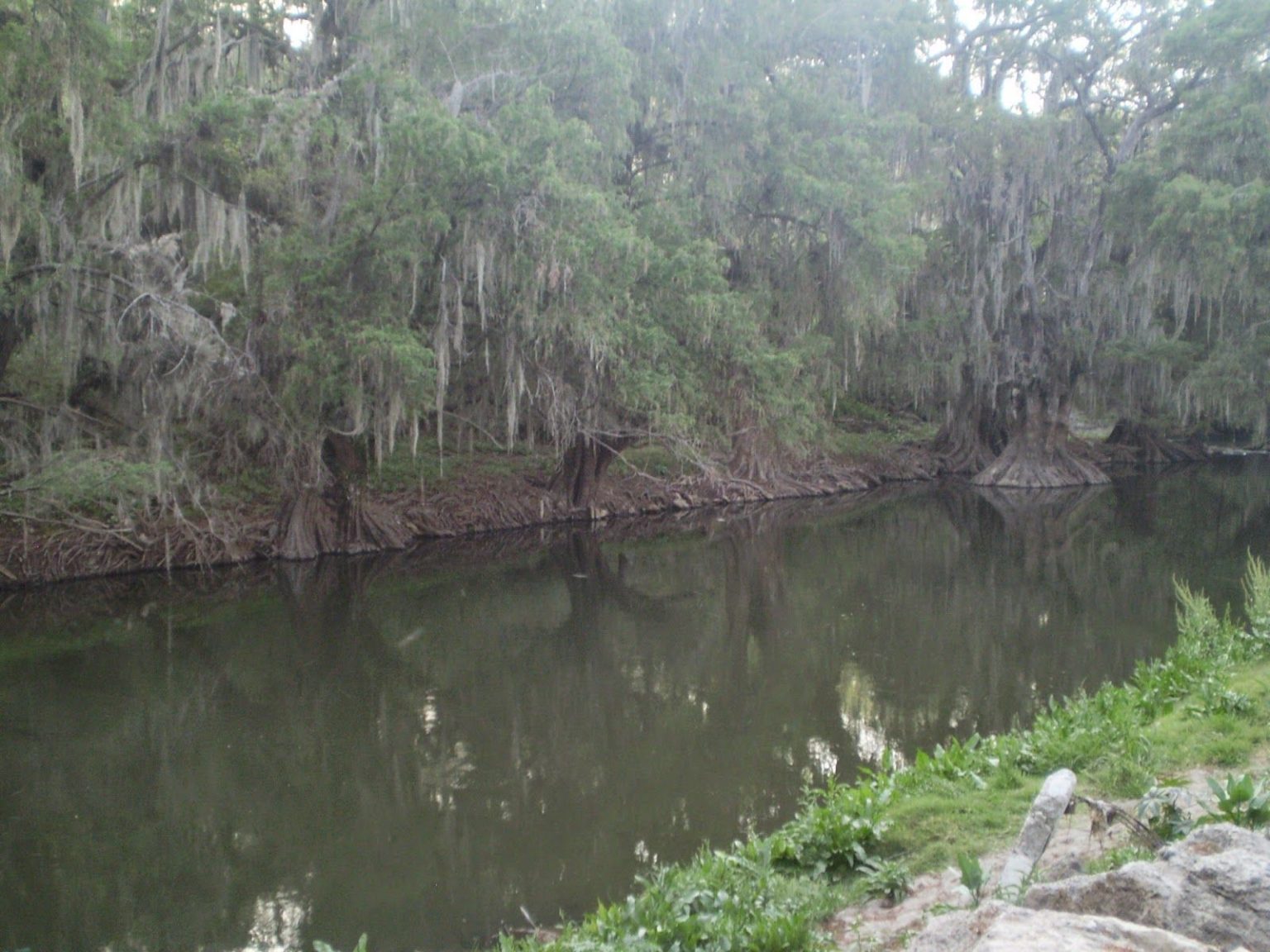 Río Tula: historia, ubicación, y todo lo que necesita saber