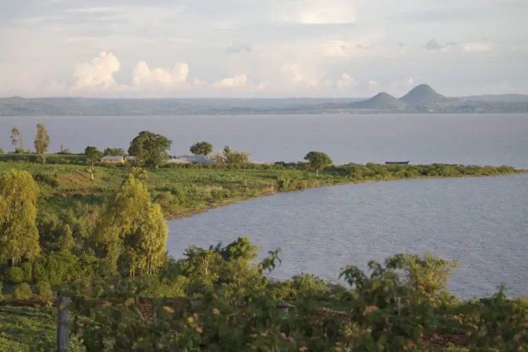 CONOCE TODO ACERCA DEL GRAN LAGO VICTORIA EN ÁFRICA.