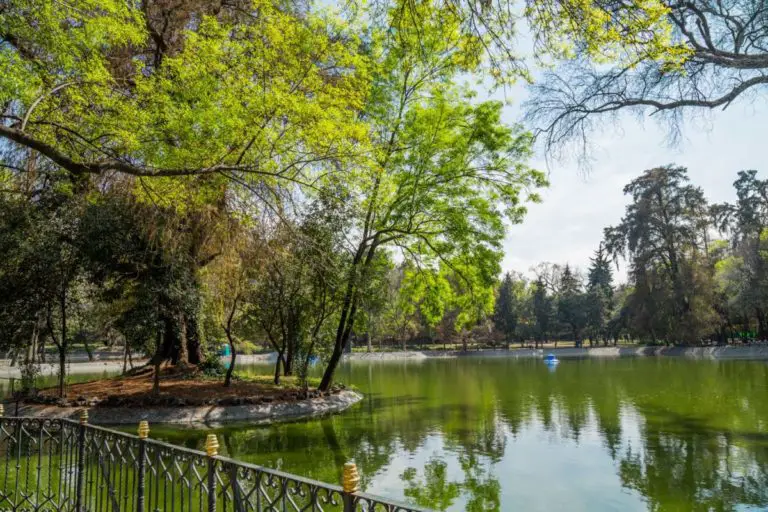 CONOCE TODO SOBRE LOS ATRACTIVOS LAGOS DE CHAPULTEPEC
