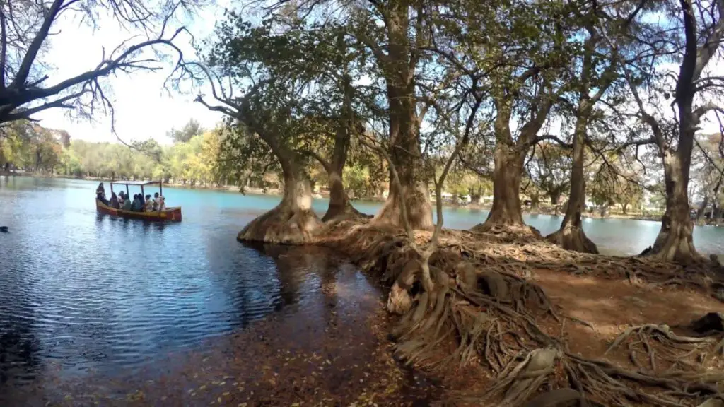 TODO LO QUE DEBES CONOCER SOBRE EL LAGO DE CAMÉCUARO