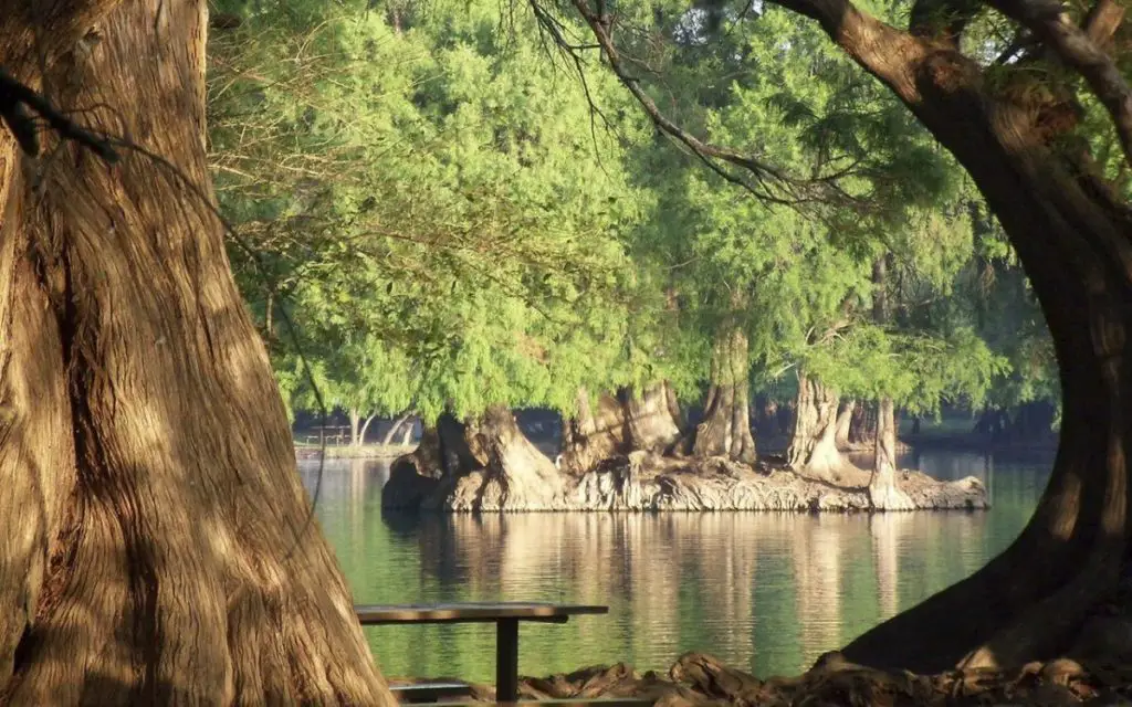 TODO LO QUE DEBES CONOCER SOBRE EL LAGO DE CAMÉCUARO