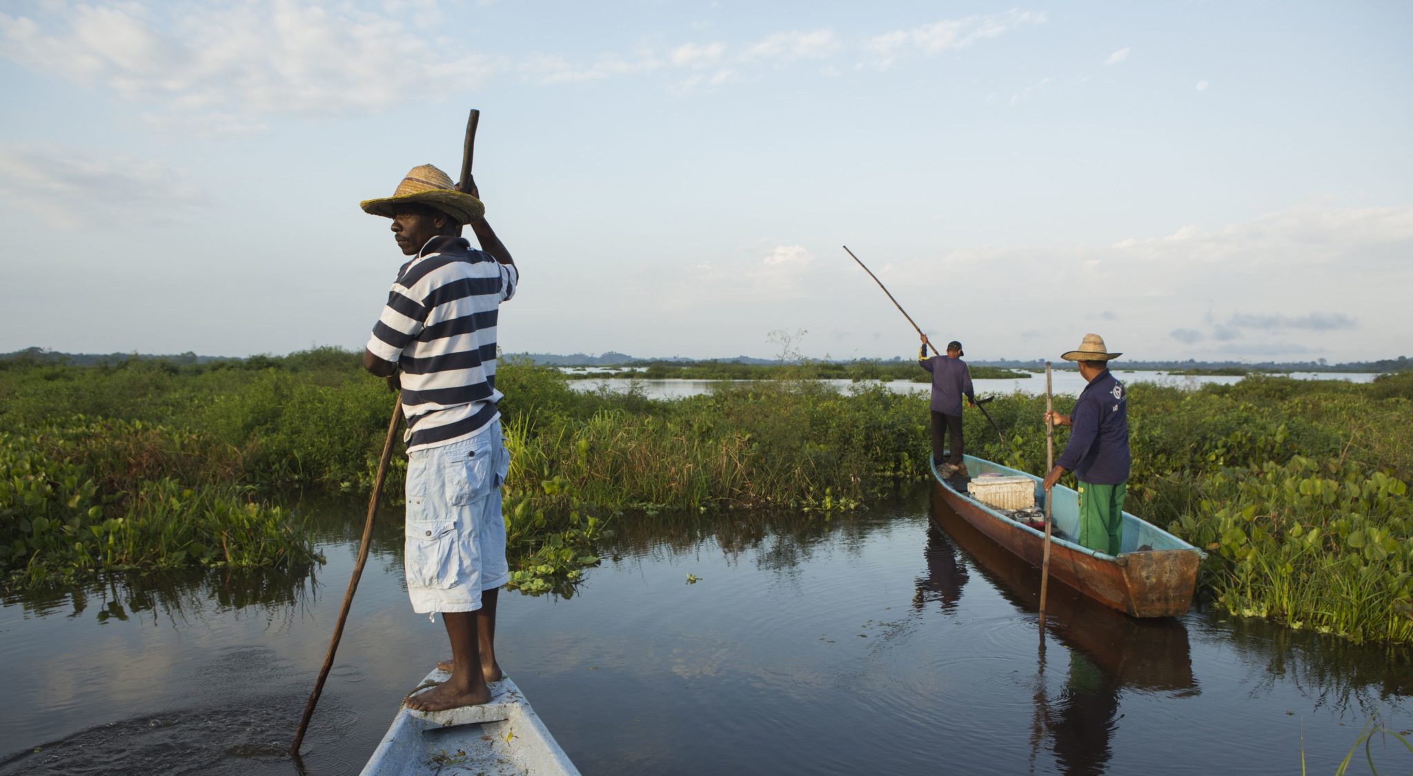 RÍO MAGDALENA: TODO ACERCA DE ESTE RÍO COLOMBIANO