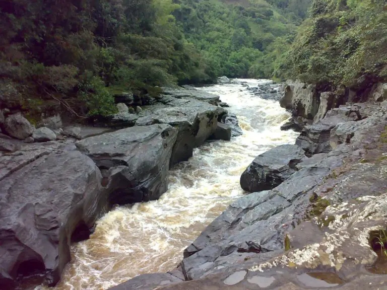 RÍO MAGDALENA: TODO ACERCA DE ESTE RÍO COLOMBIANO