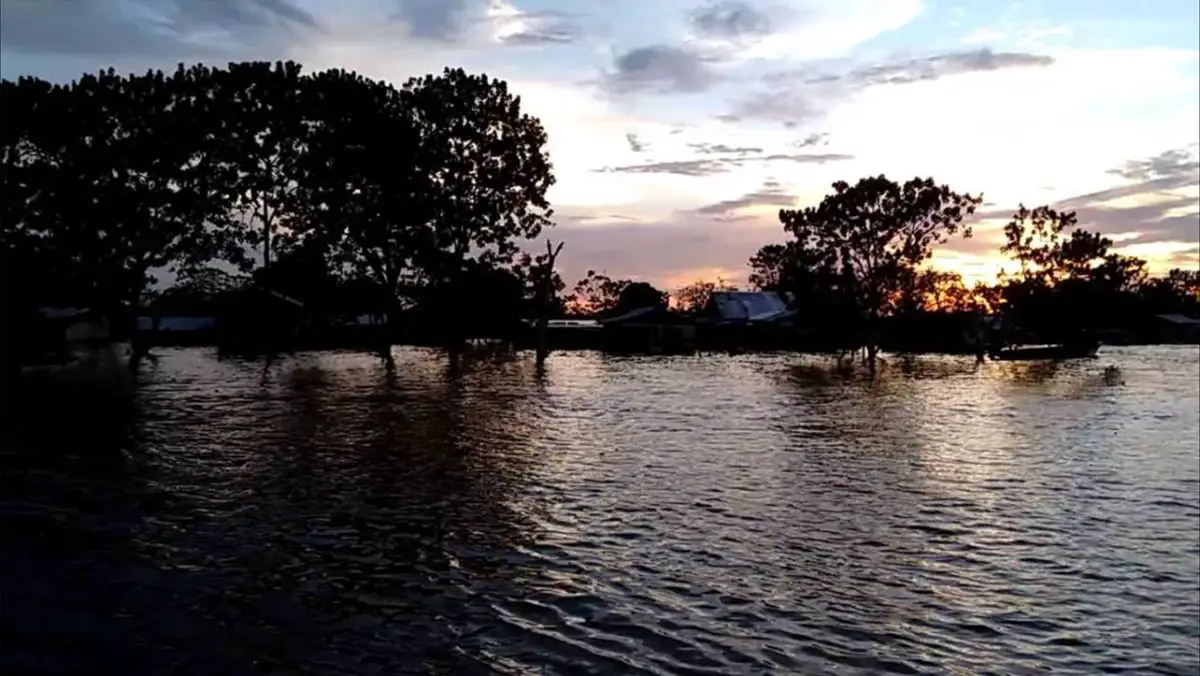 Amazonian River: History, Origin, Characteristics, Depth and Much More