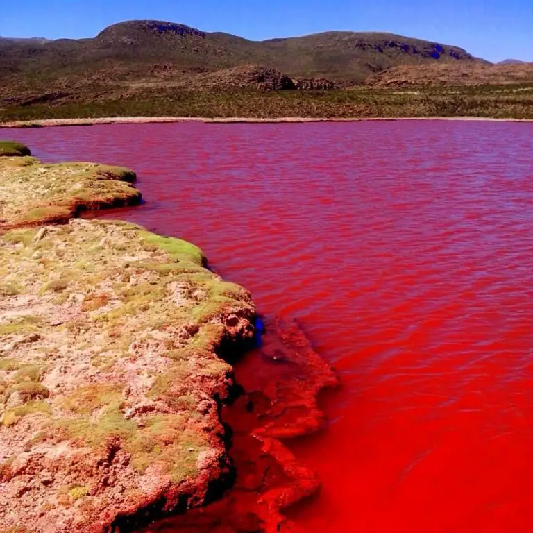 TODO ACERCA DE LA LAGUNA ROJA Y SU MISTERIOSO COLOR