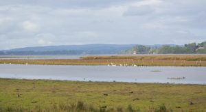 CONOCE EL LAGO BUDI, ÍCONO DE TURISMO ÉTNICO Y CULTURAL