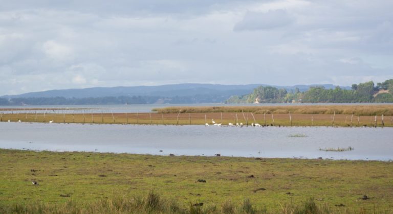 CONOCE EL LAGO BUDI, ÍCONO DE TURISMO ÉTNICO Y CULTURAL
