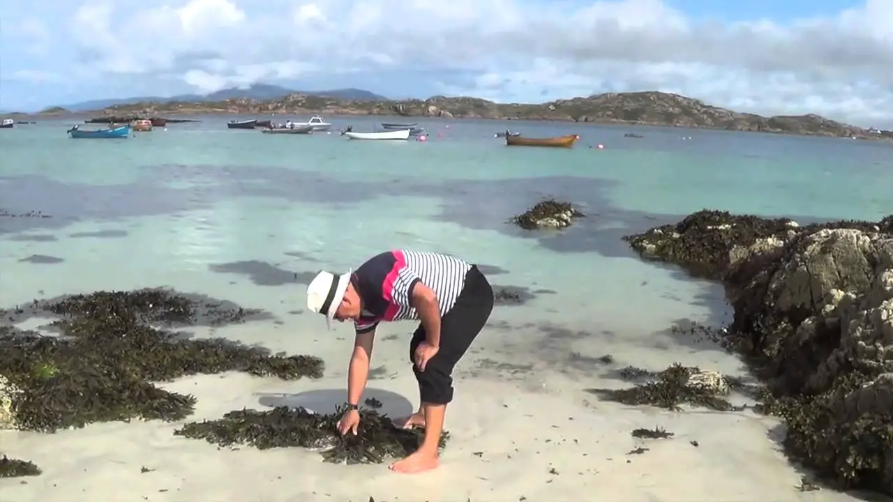 TODO ACERCA DEL MAR DEL NORTE, EN EL OCÉANO ATLÁNTICO