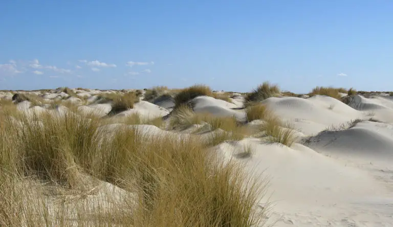 TODO ACERCA DEL MAR DEL NORTE, EN EL OCÉANO ATLÁNTICO