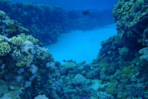 CONOCE ACERCA DEL MAR ROJO EN LA PENÍNSULA DE SINAÍ