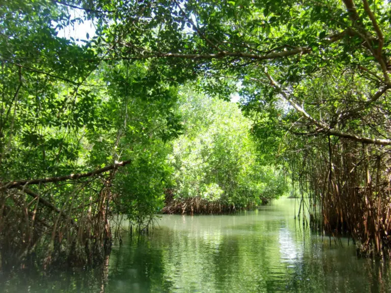 TODO ACERCA DEL MARAVILLOSO MAR CARIBE Y SUS COSTAS