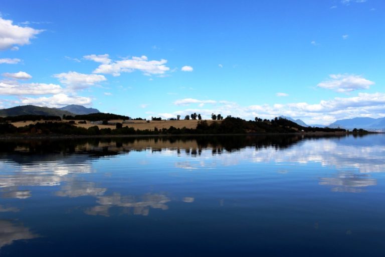 TODO SOBRE EL LAGO RANCO EN LA REGIÓN DE LOS RÍOS, CHILE