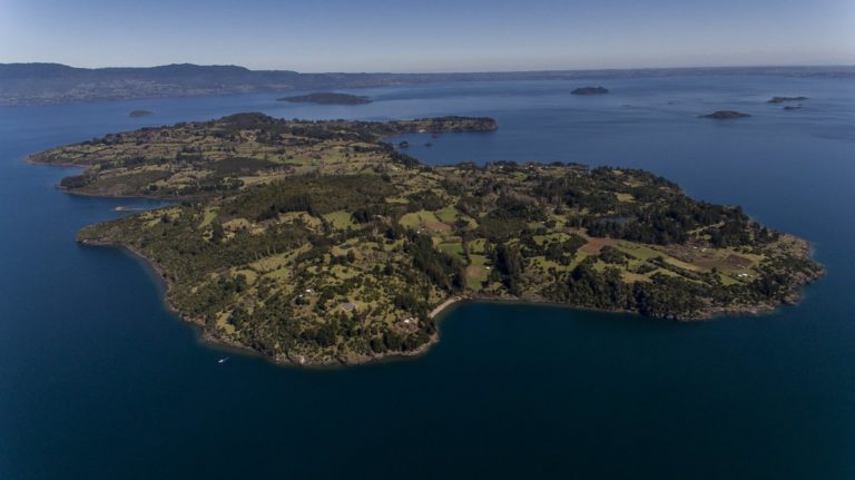 TODO SOBRE EL LAGO RANCO EN LA REGIÓN DE LOS RÍOS, CHILE