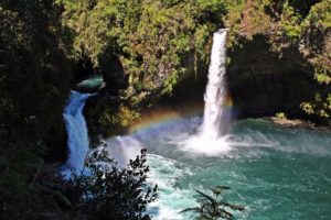 TODO SOBRE EL LAGO RANCO EN LA REGIÓN DE LOS RÍOS, CHILE