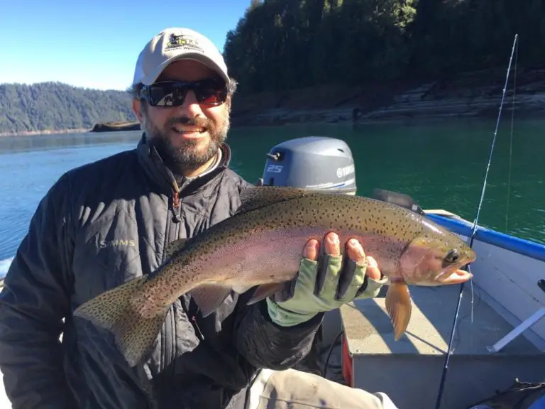 TODO SOBRE EL LAGO RANCO EN LA REGIÓN DE LOS RÍOS, CHILE
