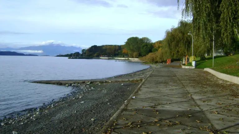 TODO SOBRE EL LAGO RANCO EN LA REGIÓN DE LOS RÍOS, CHILE