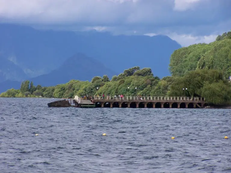TODO SOBRE EL LAGO RANCO EN LA REGIÓN DE LOS RÍOS, CHILE