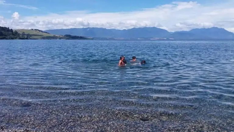 TODO SOBRE EL LAGO RANCO EN LA REGIÓN DE LOS RÍOS, CHILE
