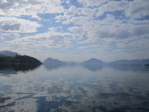 TODO SOBRE EL LAGO RANCO EN LA REGIÓN DE LOS RÍOS, CHILE
