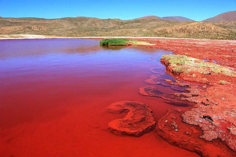 TODO ACERCA DE LA LAGUNA ROJA Y SU MISTERIOSO COLOR