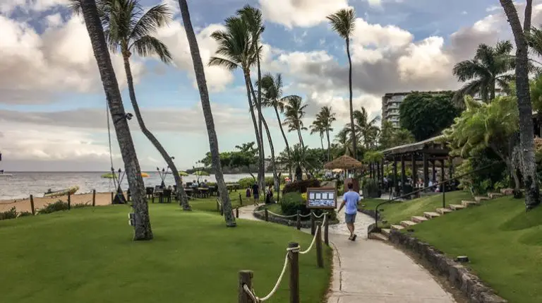 ISLA MAUI, DE LAS MÁS GRANDES DE HAWAI CON BELLEZAS