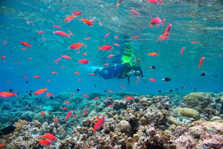 ISLA PALAOS, UNA PEQUEÑA ISLA CON MARAVILLAS NATURALES