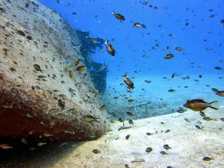 EL GRAN ÁREA MARINA PROTEGIDA DE SEAFLOWER, UBICADA EN COLOMBIA