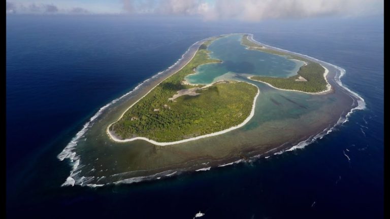 ÁREA PROTEGIDA DE LAS ISLAS PHOENIX Y SU GRAN VARIEDAD DE ESPECIES